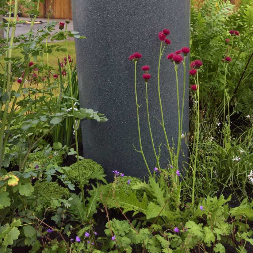 2019 – tessa parikian garden design