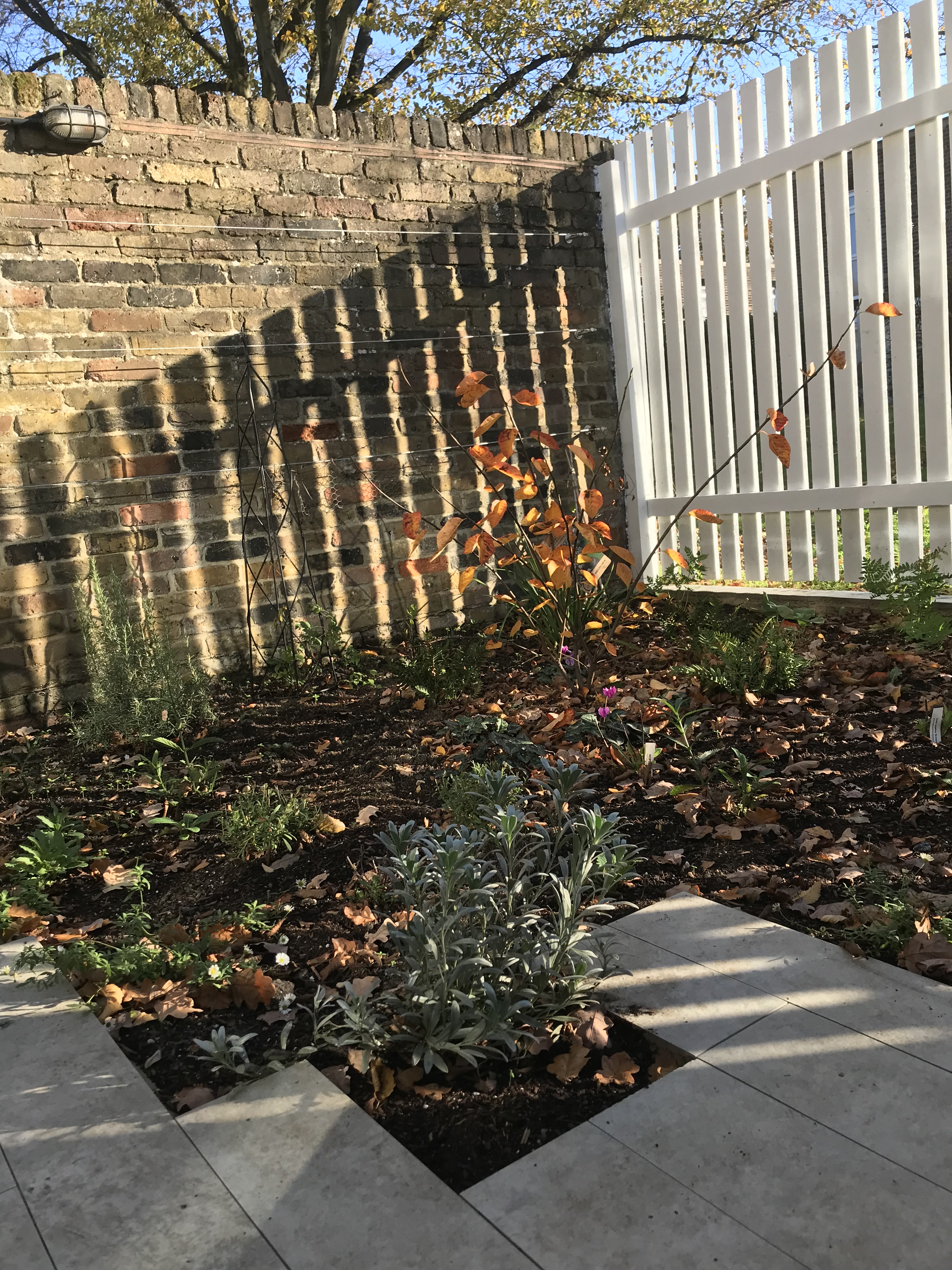 2022 – tessa parikian garden design